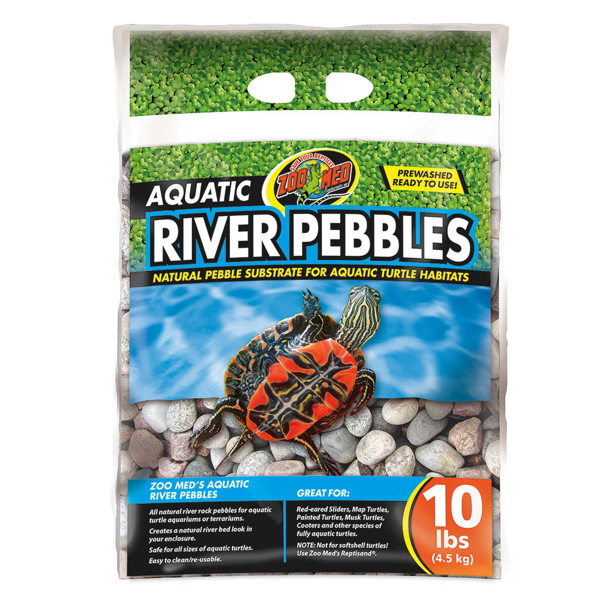 Turtle River Pebble – Scales and Tails of Ohio