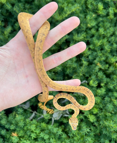 Boas – Scales and Tails of Ohio