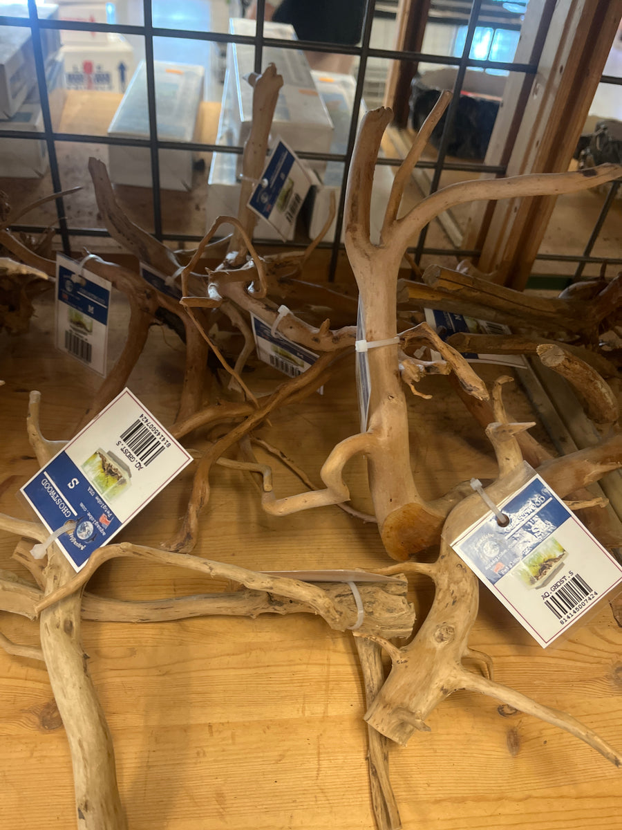 Ghostwood – Scales and Tails of Ohio