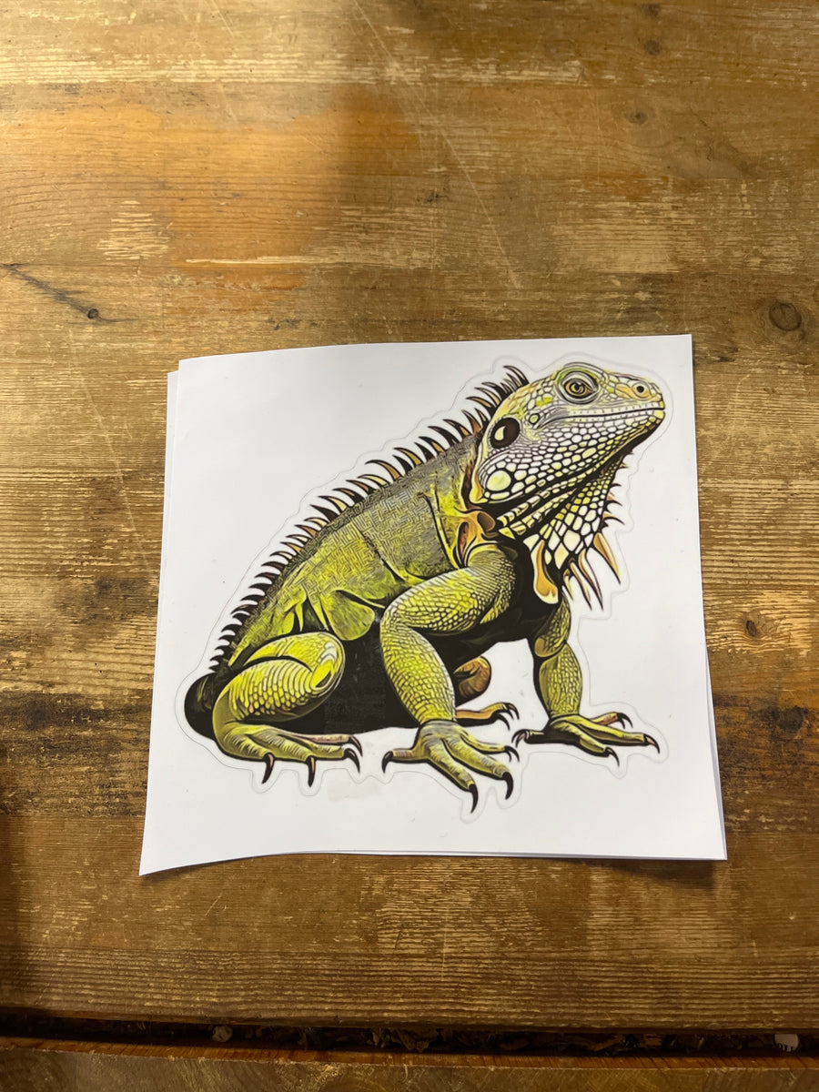 Iguana Sticker – Scales and Tails of Ohio