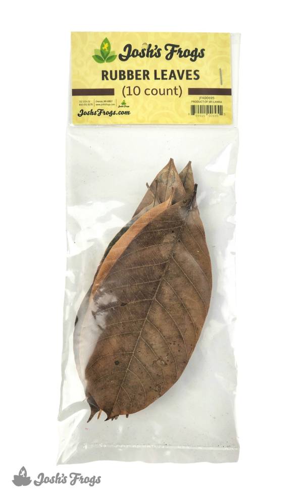 Rubber Leaves – Scales and Tails of Ohio