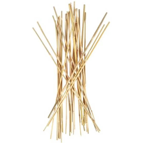Bamboo Stick 2ft – Scales and Tails of Ohio