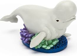 Finding Dory Beluga Whale – Scales and Tails of Ohio