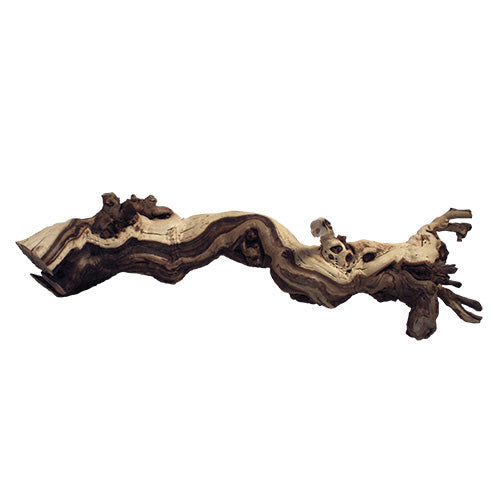 ZOO MED Premium Sand Blasted Grapevine – Scales and Tails of Ohio