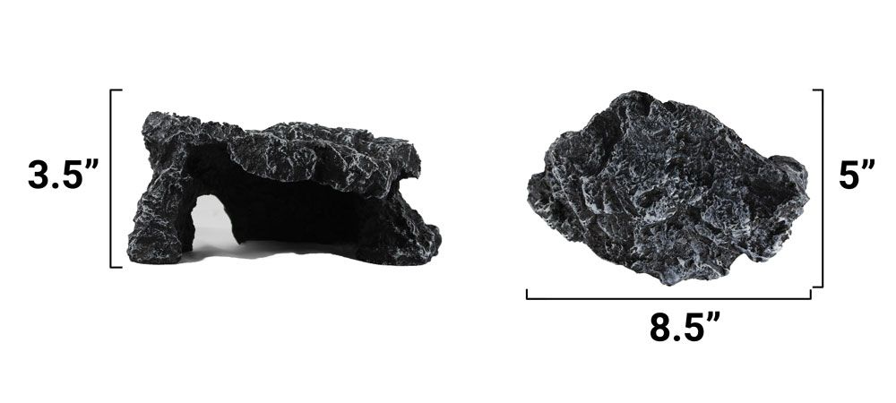 Pangea Large Rock Cave – Scales and Tails of Ohio