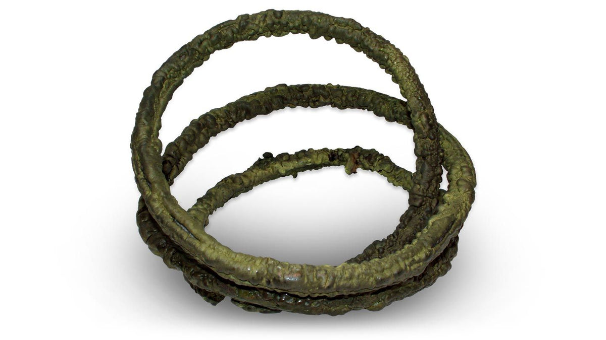 Pangea Ultimate Vine – Scales and Tails of Ohio